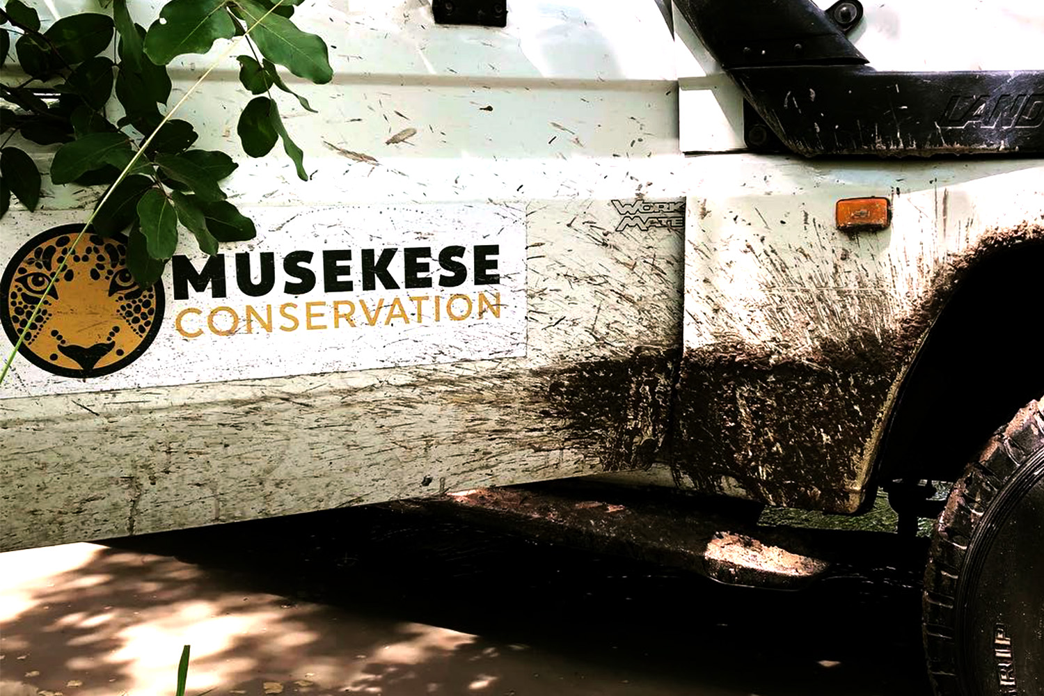 A Jackson Design - Musekese Conservation logo design